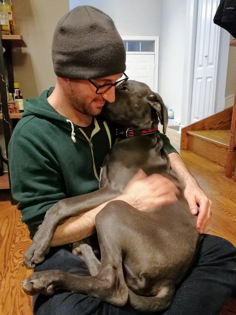 From the Editor's Desk: We don't deserve dogs | Android Central