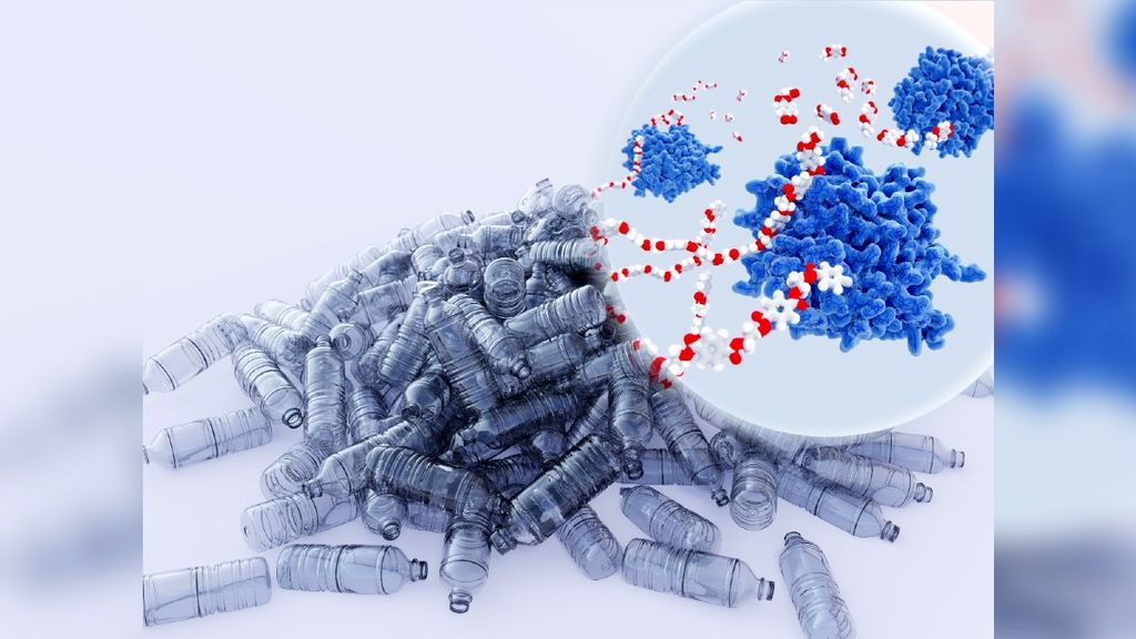 Plastic-eating bacteria: Engineering and impact | Live Science