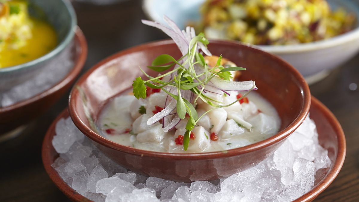 Coya restaurant review: shining a light on deepest, darkest Peru | The Week