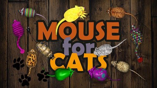 5 top cat apps – play with your cat on your phone or tablet | PetsRadar