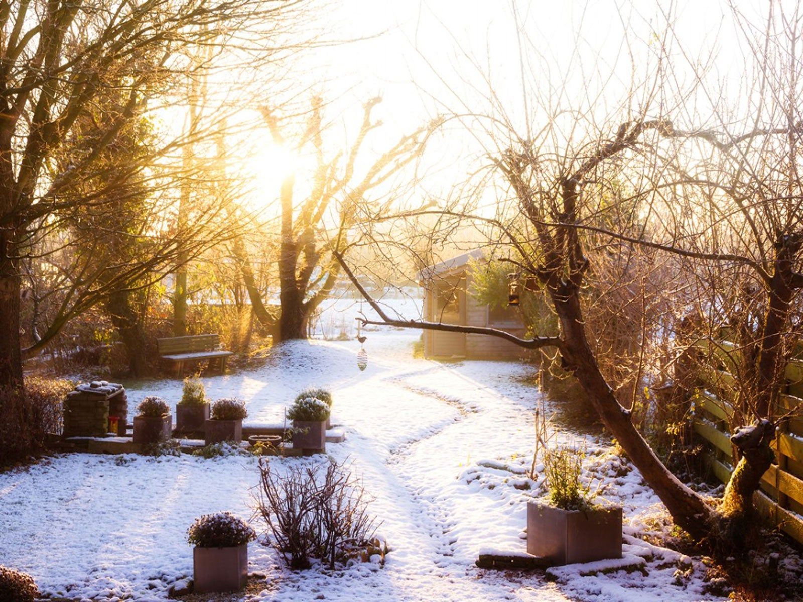 Winter Gardening Tips: Winter Garden Mistakes And How To Avoid Them ...