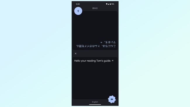 I wish I’d known about these Google Translate features before I went on ...