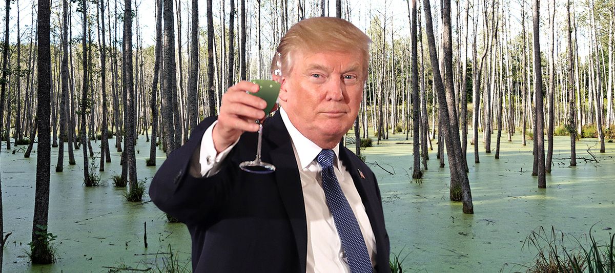 Trump drinks from the swamp | The Week