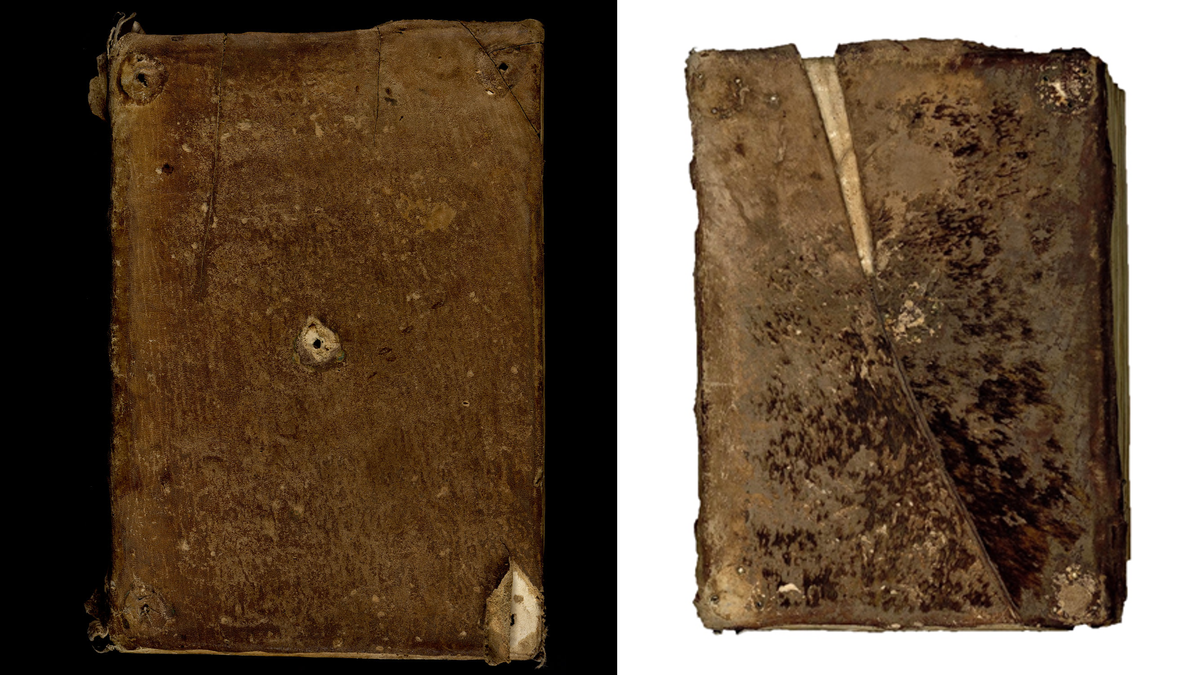 'Hairy books' bound by medieval monks are covered in sealskin imported ...