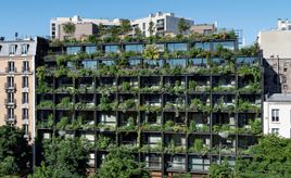 Klay Club | Wallpaper