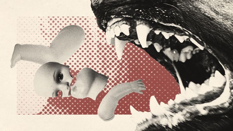 Dog attacks are on the rise | The Week