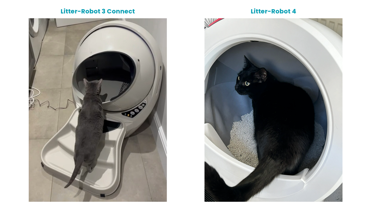 Litter-Robot 3 vs 4: Which is worth your money? | PetsRadar
