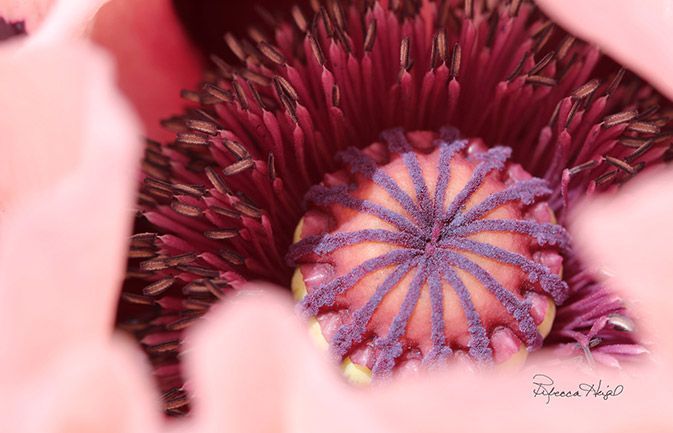 The Best Windows 10 Themes (and Where to Download Them) | Laptop Mag