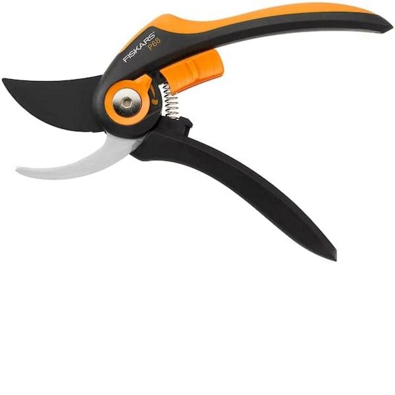 How to root rose cuttings in water: An expert guide | Homes and Gardens