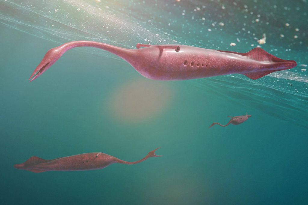 Ancient 'Tully monster' was a vertebrate, not a spineless blob, study ...