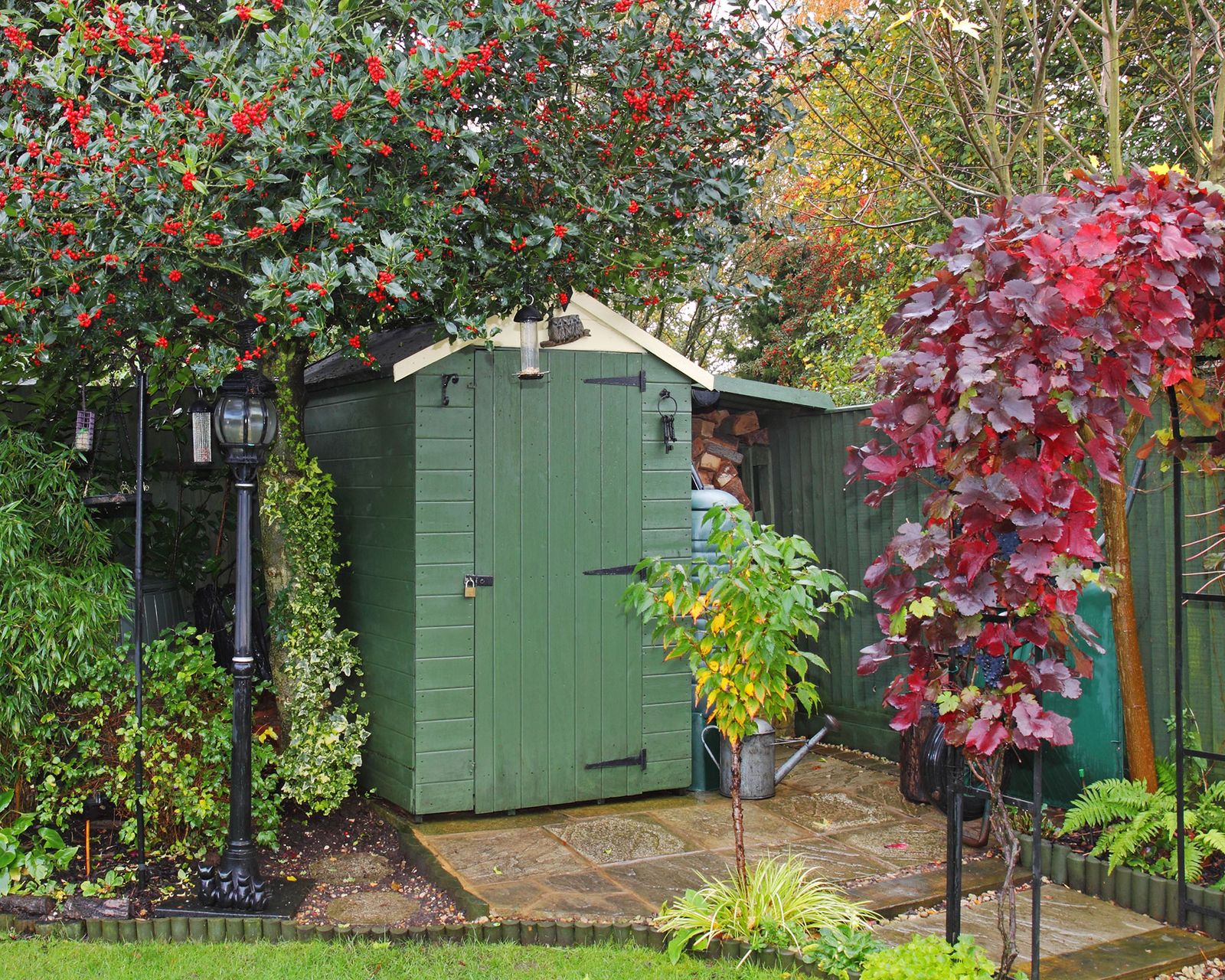 Best trees for privacy: 10 ways to screen a plot from view | Gardeningetc