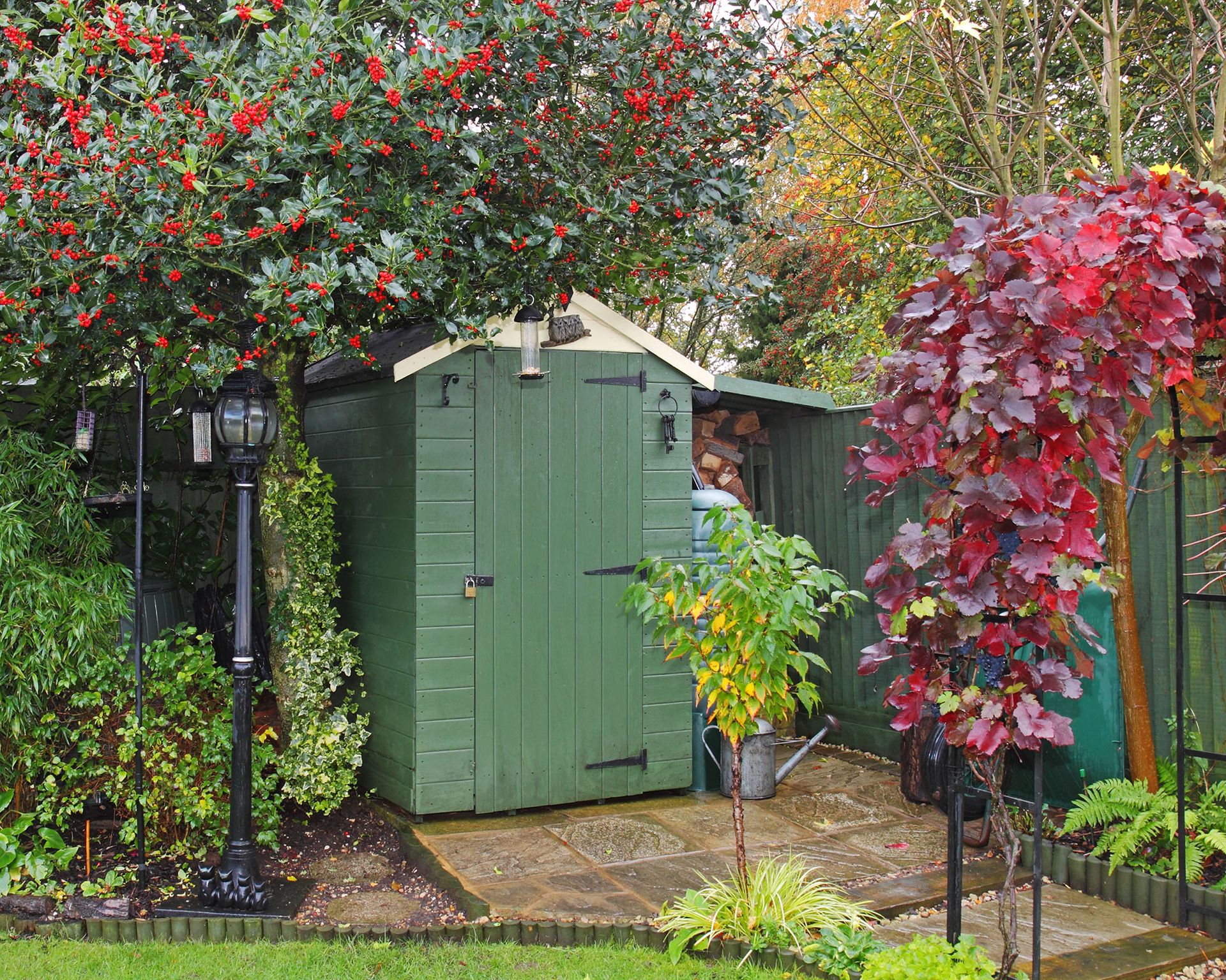 Best trees for privacy: 10 ways to screen a plot from view | Gardeningetc