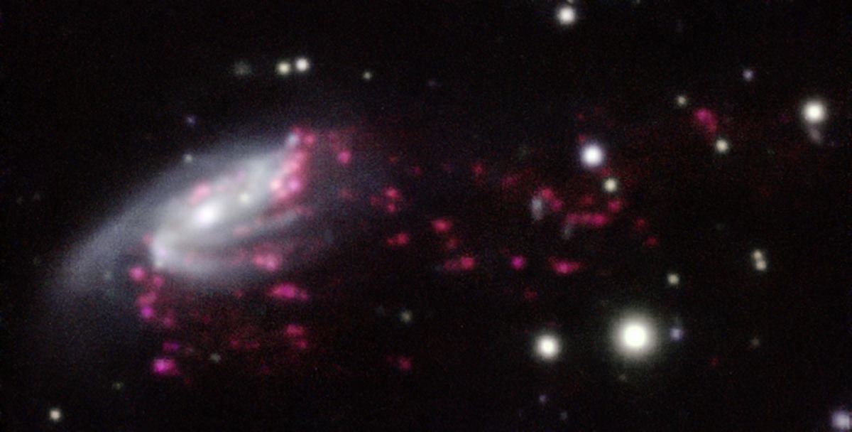 'Jellyfish' Galaxies Reveal Feeding Habits of Monster Black Holes | Space