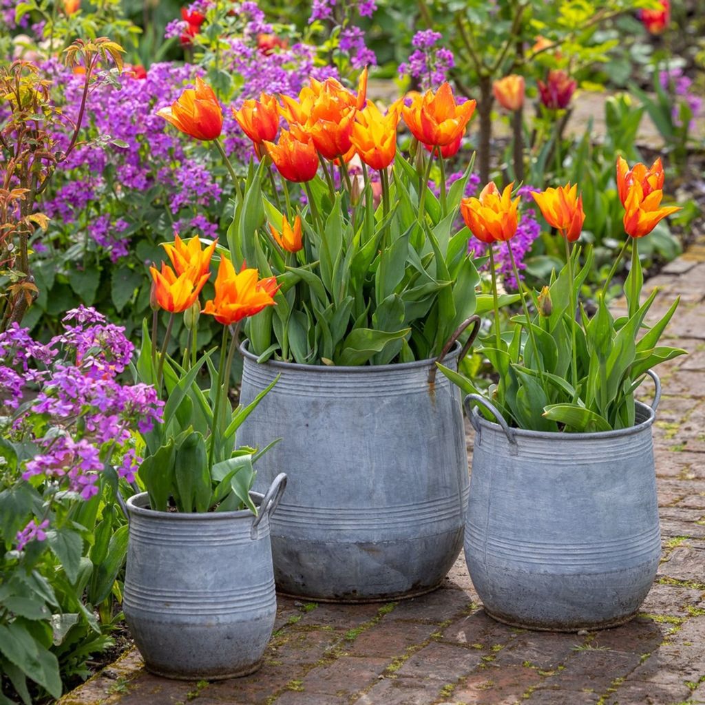 5 of the easiest spring bulbs to grow in pots | Ideal Home