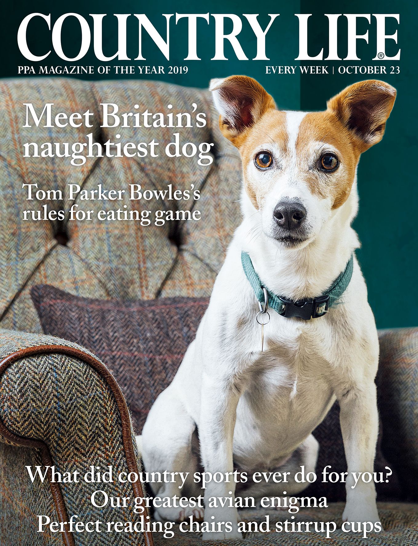 Pici the Jack Russell named Britain's Naughtiest Dog for 2019 | Country ...