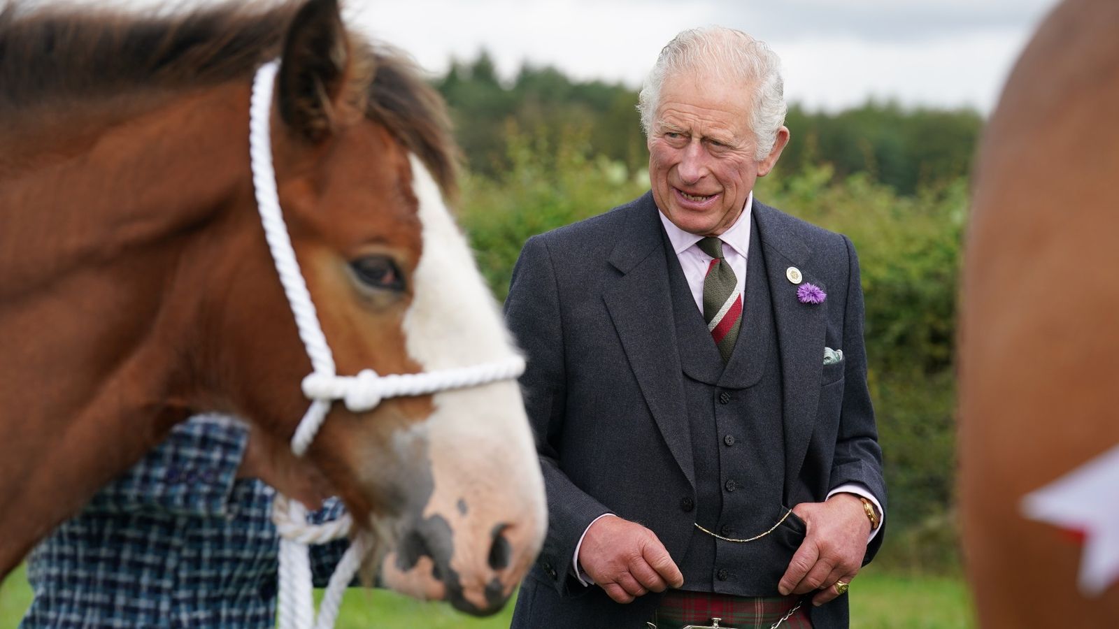 King Charles set to sell 12 of Queen’s racehorses as he plans to 'scale back' tradition | Woman ...