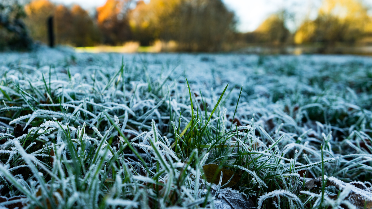 4 essential garden jobs I'm carrying out before winter arrives | T3