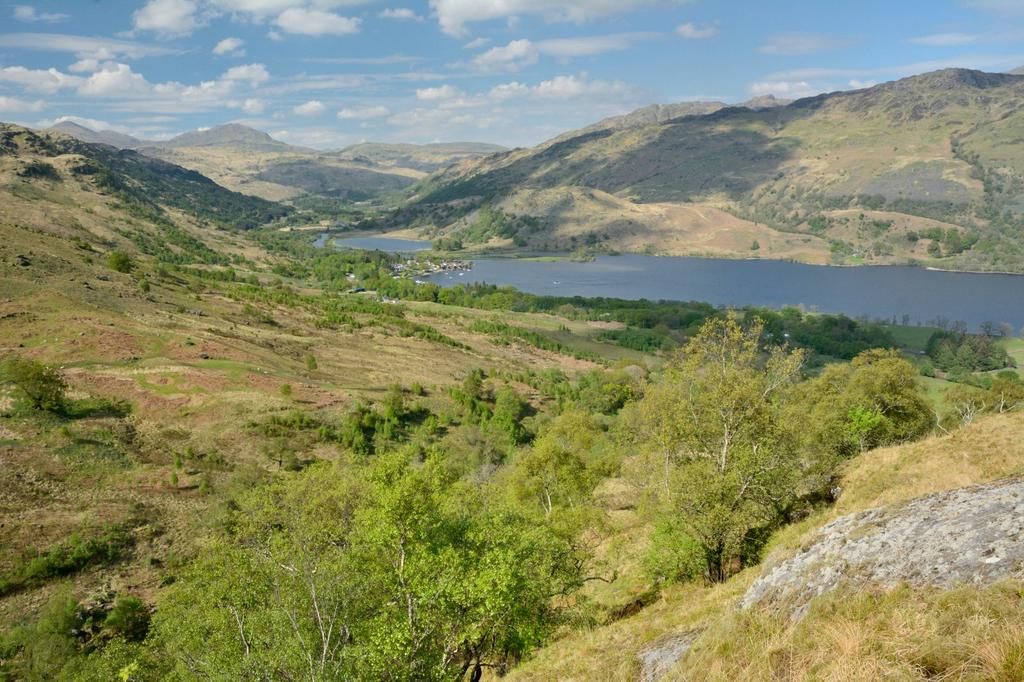 3,600 acres on the shores of Loch Lomond in which to lose yourself and ...