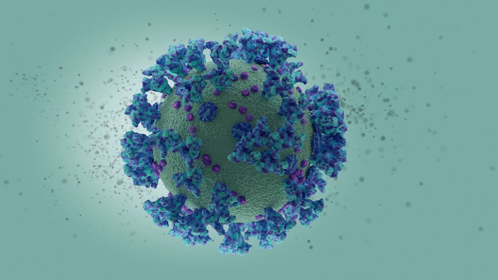 'The war has changed,' against new delta variant, internal CDC ...