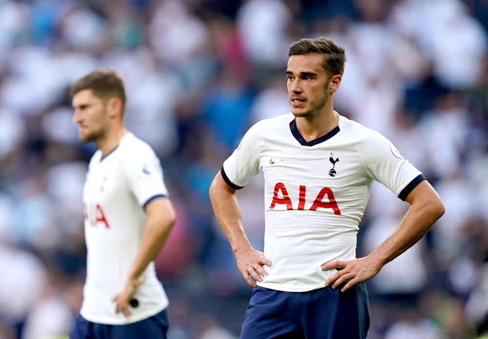 Harry Winks ready to work hard for Spurs to earn England recall ...