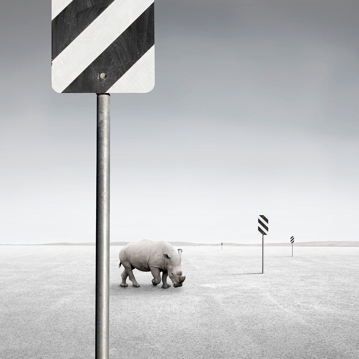 Winners of the Minimalist Photography Awards prove that less really is ...