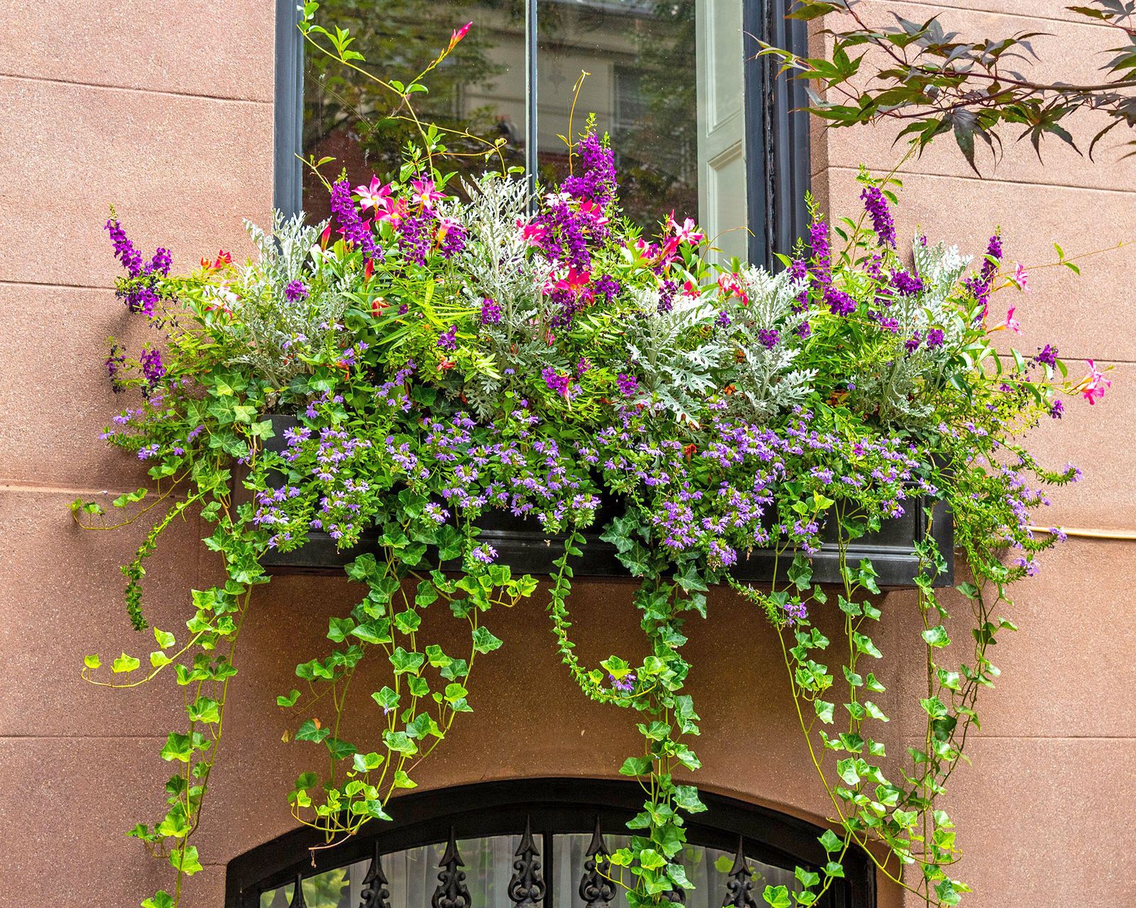 10 Beautiful Window Box Ideas For Flowers And Edibles | Gardening Know How