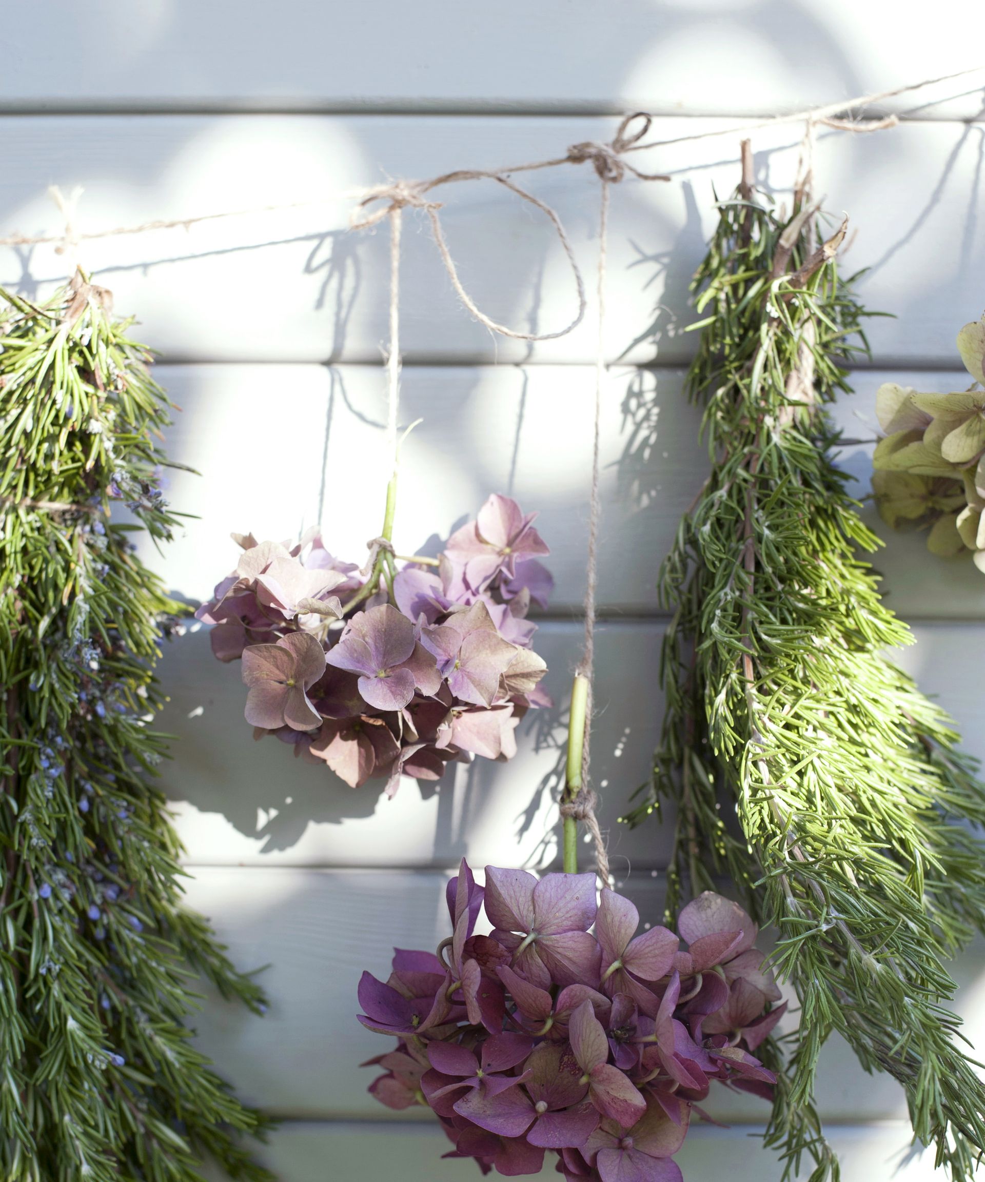 How to dry hydrangeas: an easy guide to preserving flowers | Homes and ...