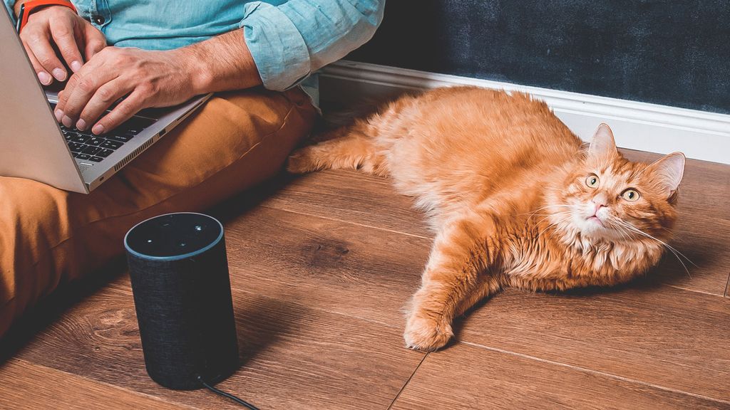 Amazon Alexa event as it happened - Alexa+ subscription service ...