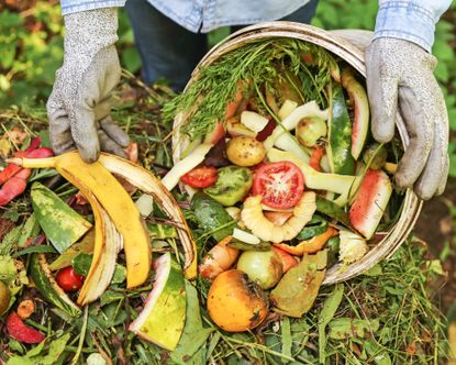 Types Of Composting Explained: Find The Best Method For You | Gardening ...