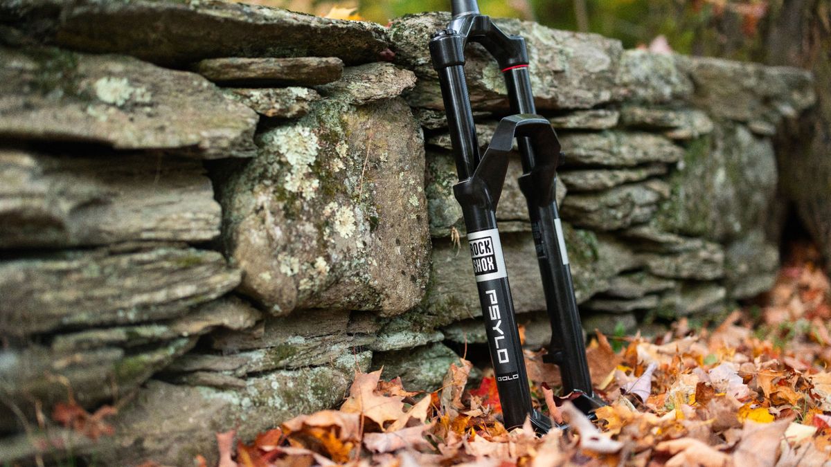 Want a RockShox Lyrik but are put off by the high price? The new Psylo ...