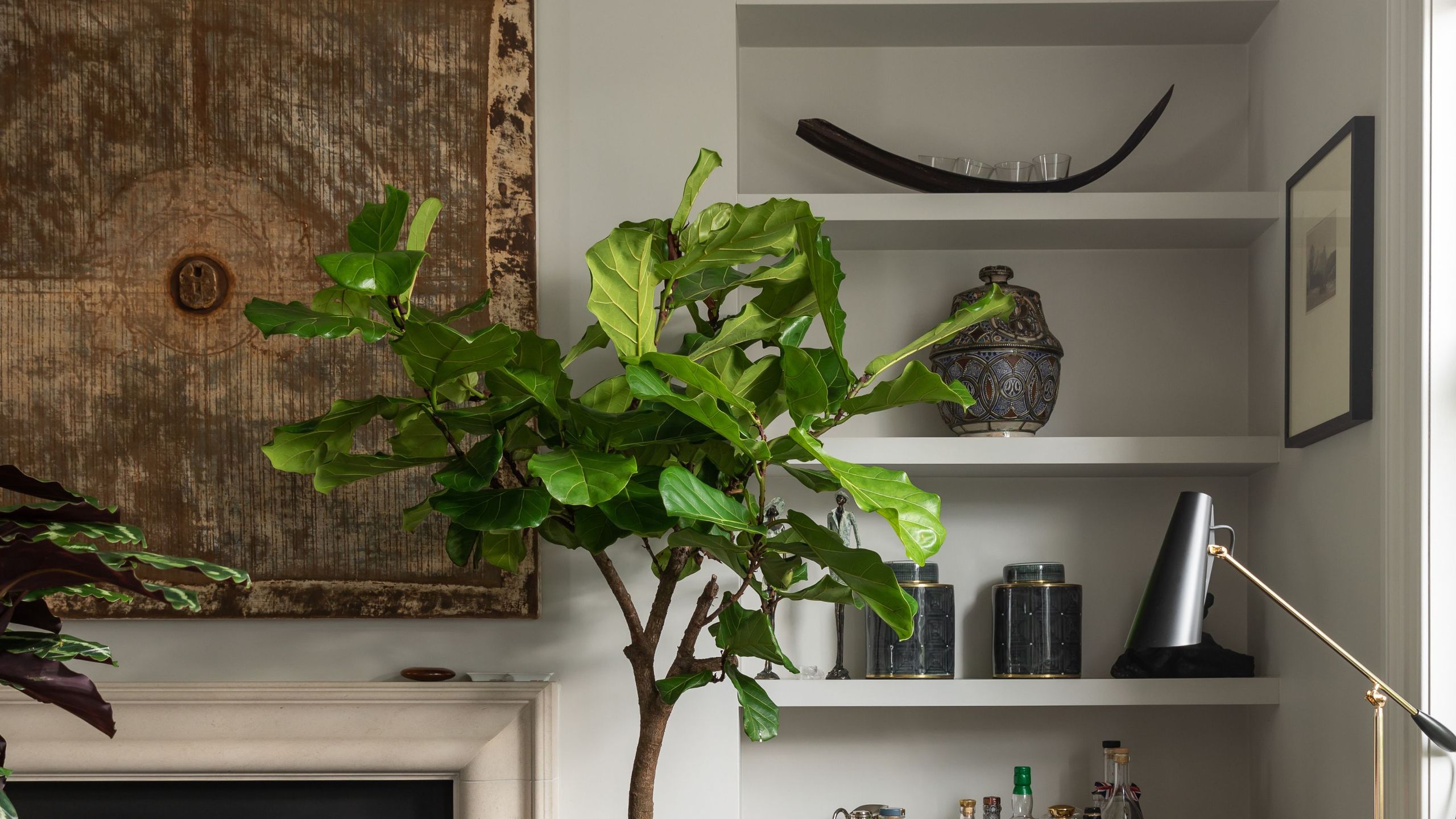 Houseplants for Zodiac Signs — 12 Expert-Approved Plants | Livingetc