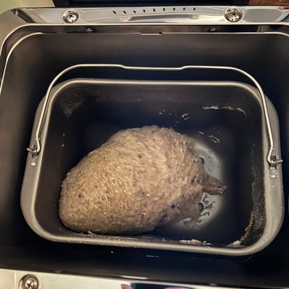 Sage The Custom Loaf Bread Maker review – a shiny triumph | Ideal Home