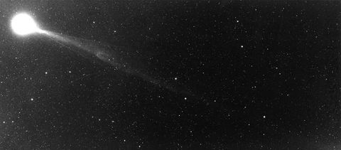 Skywatcher's Journal: How Halley's Comet Opened Window Into Southern ...