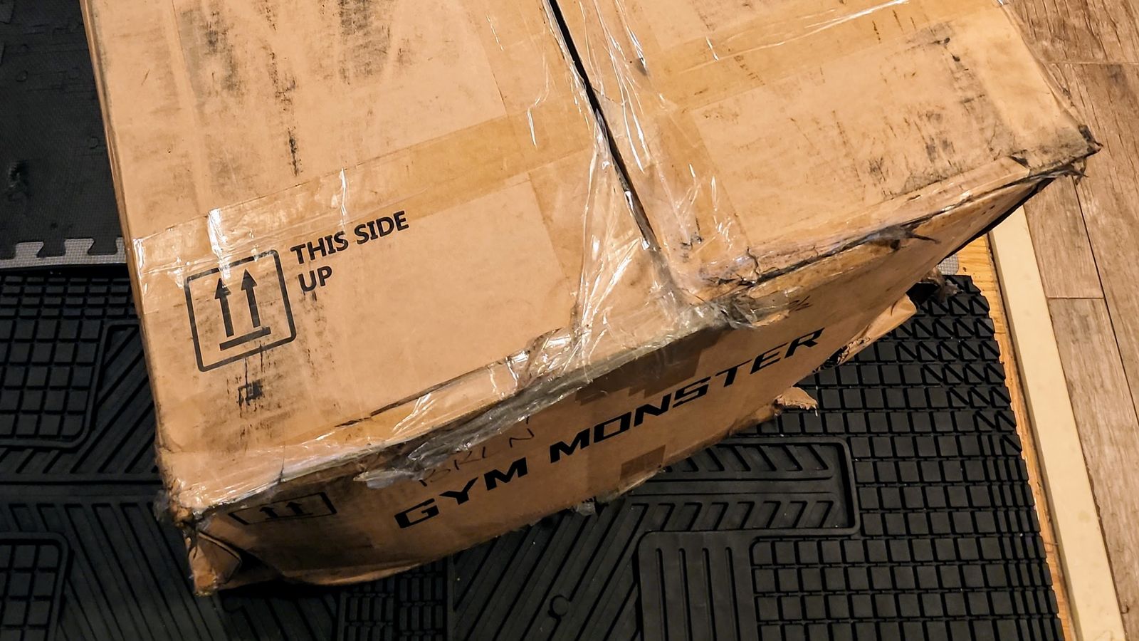 Speediance Gym Monster review | T3