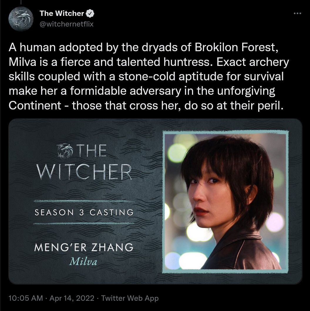 The Witcher on Netflix reveals four new cast members | PC Gamer