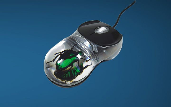 Weird and Funny Science Gifts That Are Sure to Make You Laugh: Page 2 ...