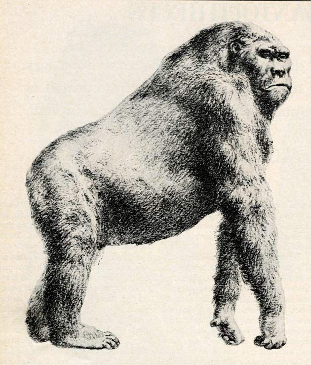 Image gallery: 25 amazing ancient beasts: Page 2 | Live Science
