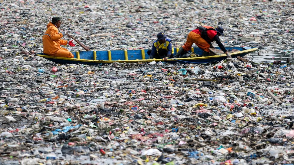 'Plastics are there and seem to be getting worse': Viral study of ...