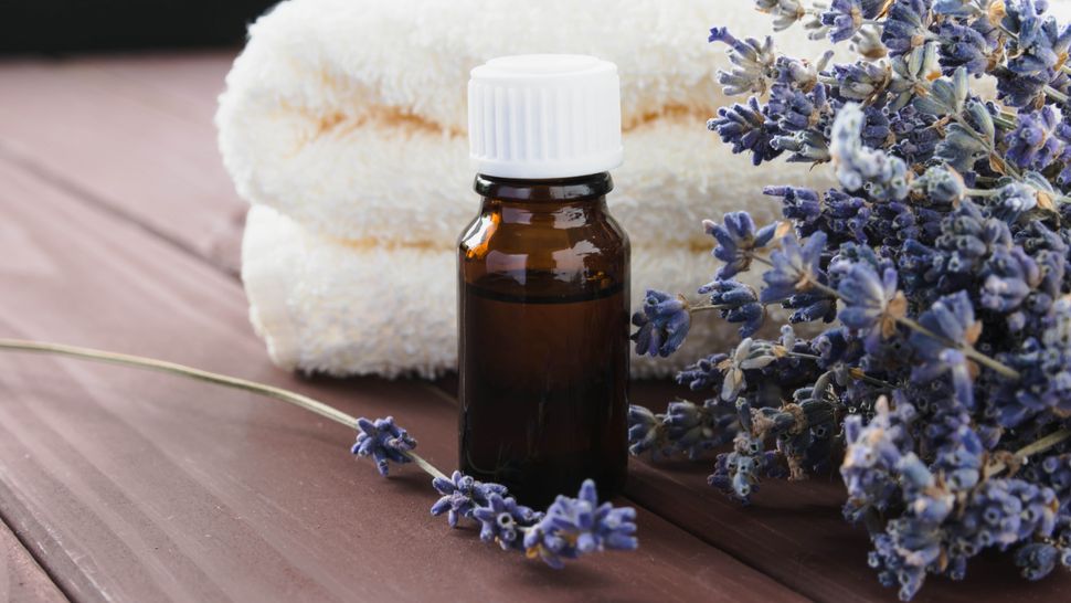 How to clean with vinegar without the smell | Tom's Guide