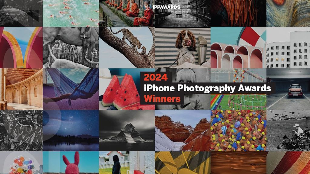 iPhone Photography Awards winners capture emotion in the everyday ...