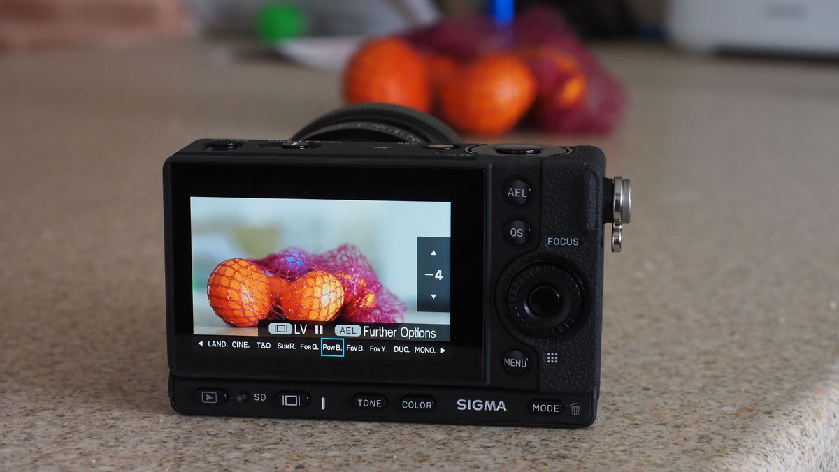 Sigma fp L review | Digital Camera World