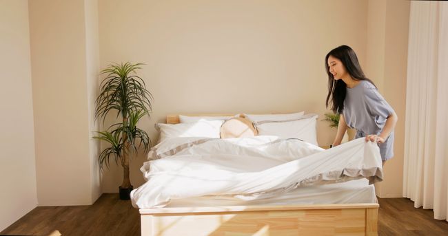 How to get rid of dust mites | Live Science