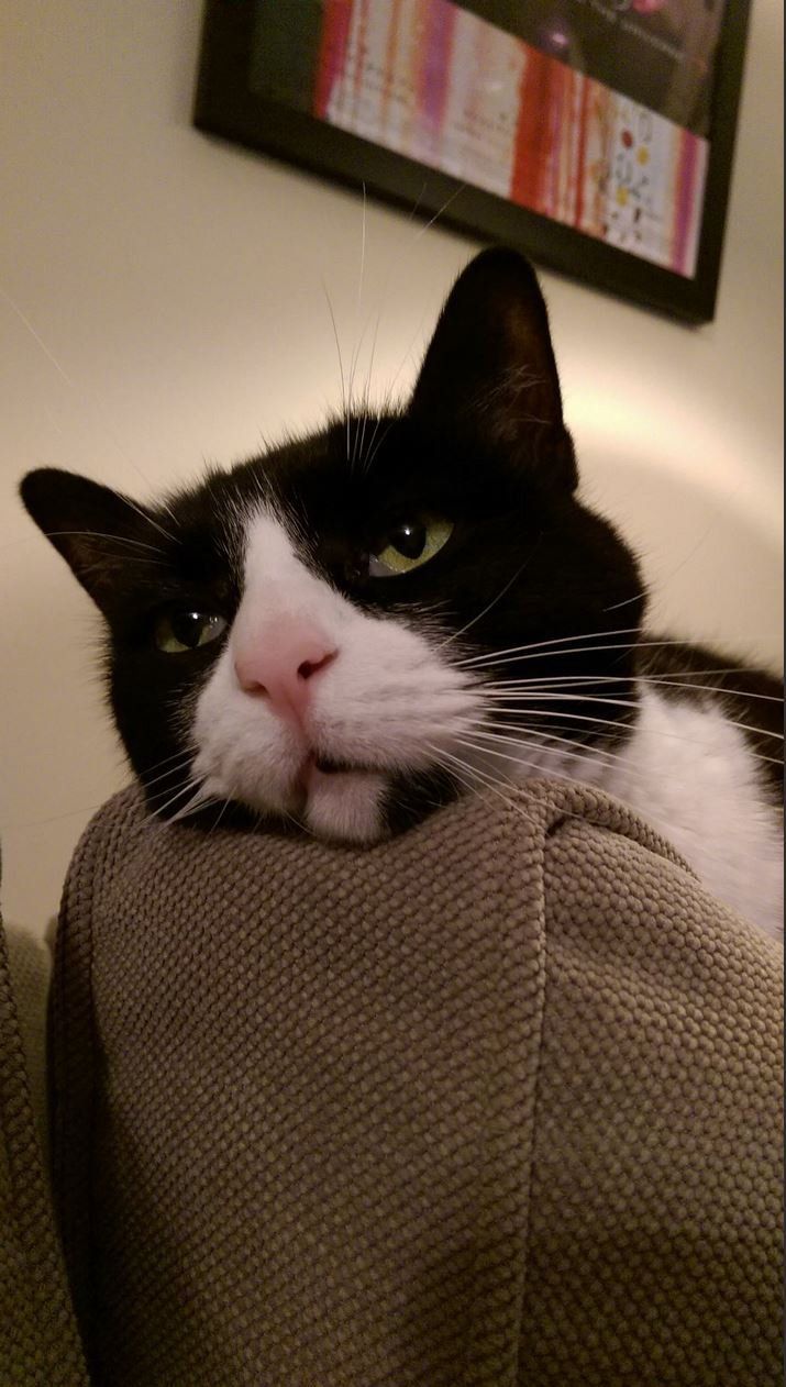 5 reasons I really like the Duo Ultrapixel camera on the HTC One for ...