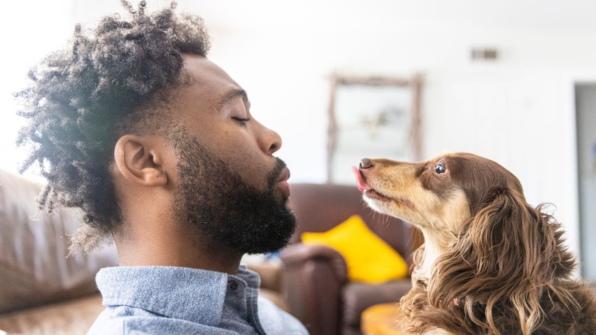 10 signs your dog loves you, according to a vet | PetsRadar