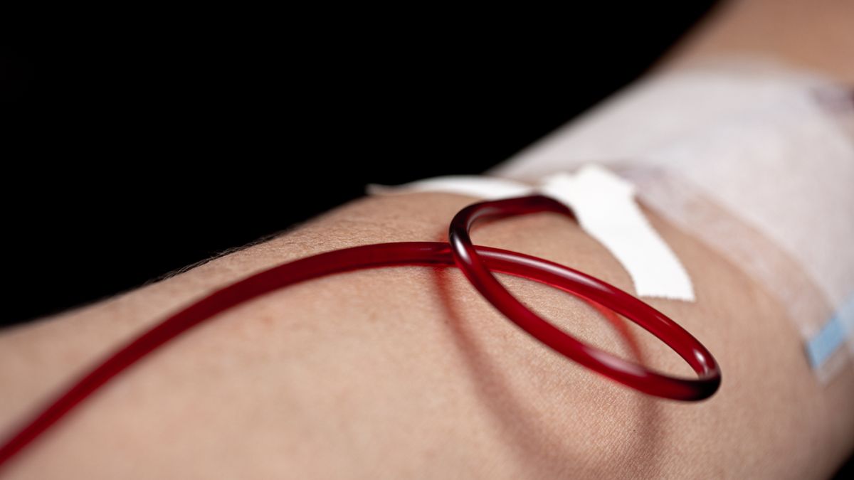 What's the rarest blood type? | Live Science