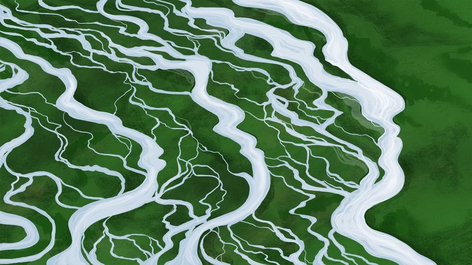 A braided stream, not a family tree: How new evidence upends our ...