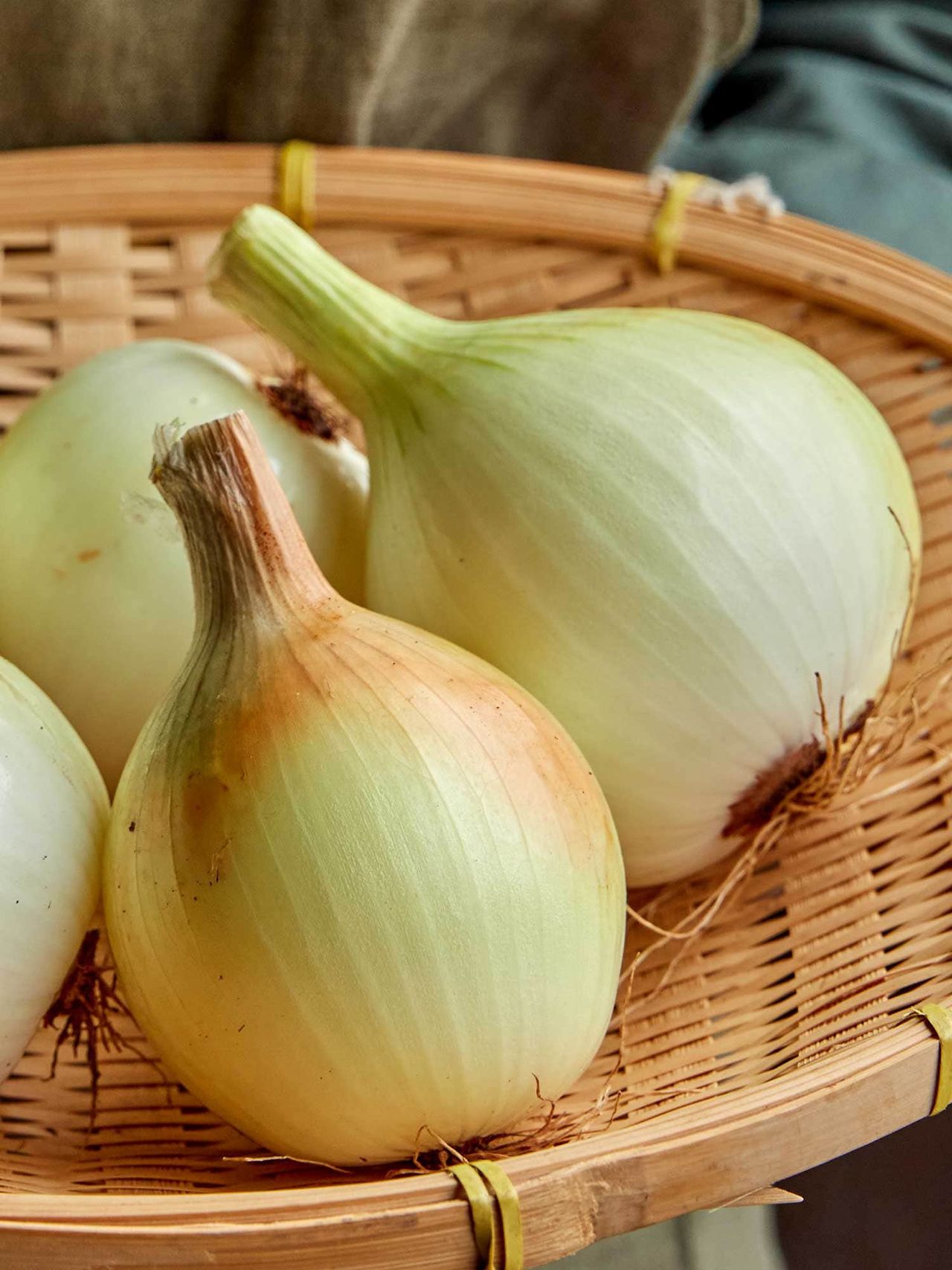 How to grow bigger onions - expert tips for large bulbs | Homes and Gardens