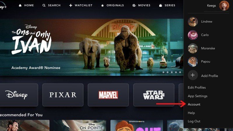 Can you share a Disney Plus login? | Android Central