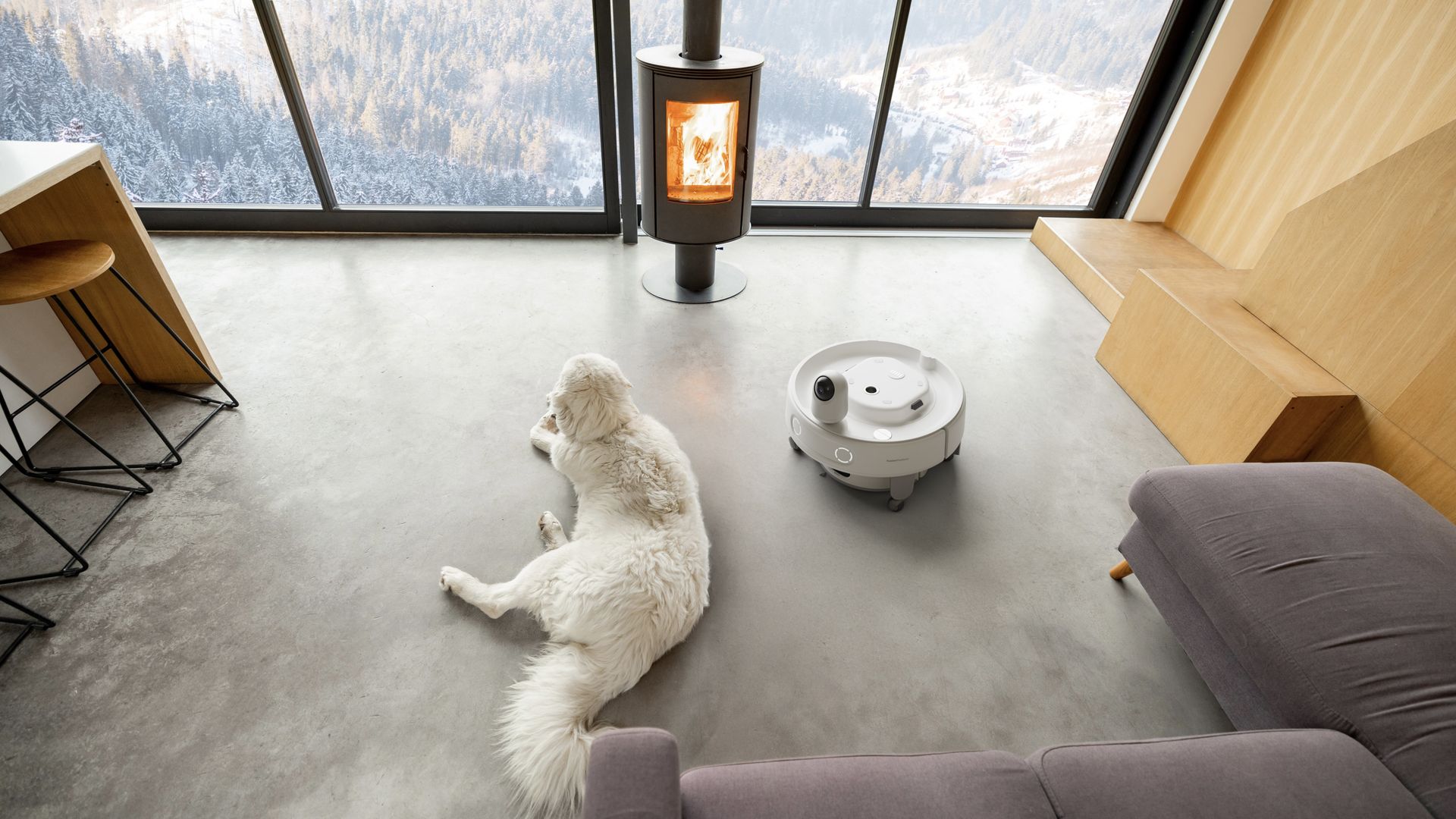 SwitchBot’s multitasking robot is finally here, and it’s the gadget ...