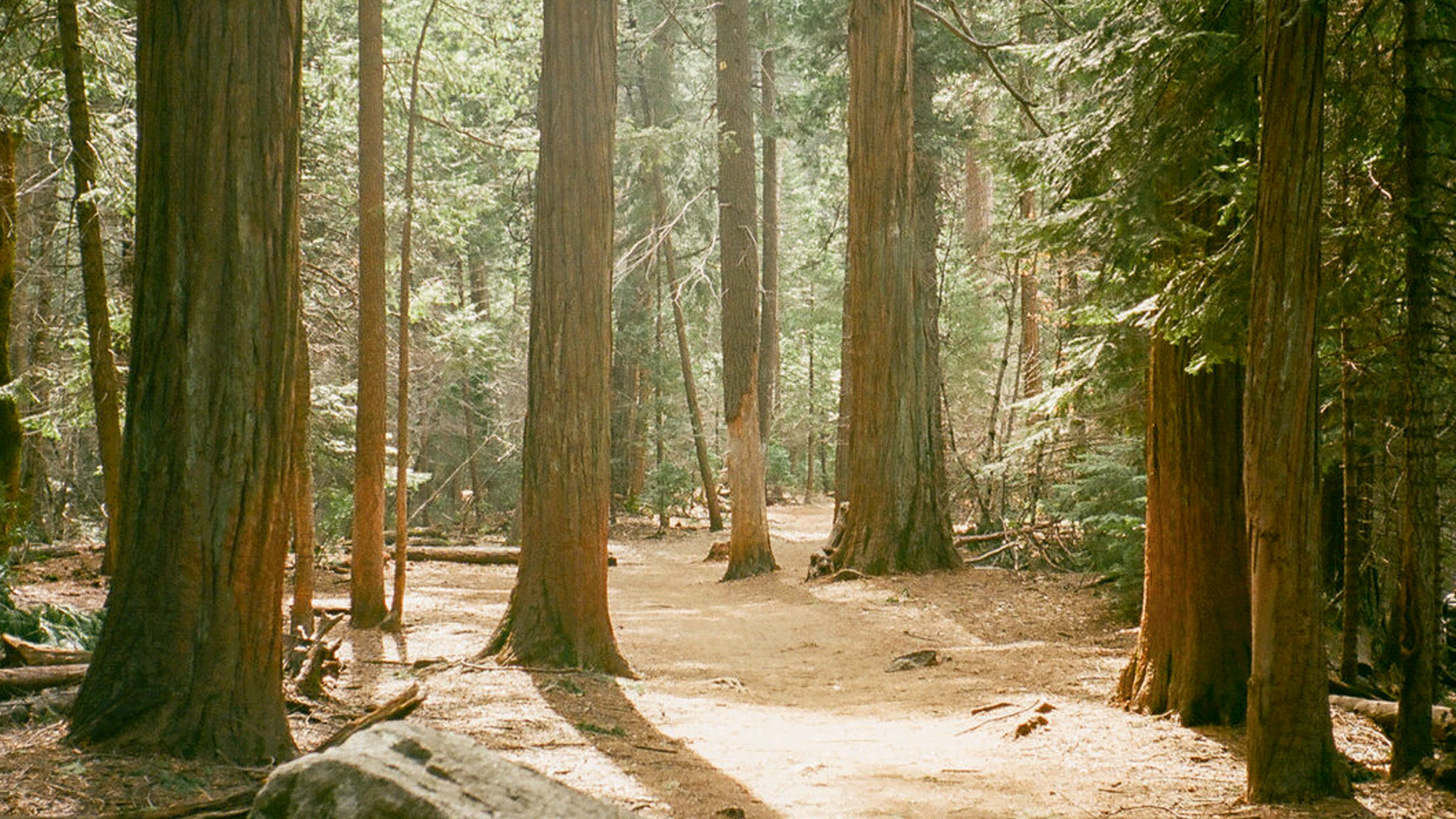 Hike Clerb Is Redrawing the Map for Marginalized Hikers | Marie Claire